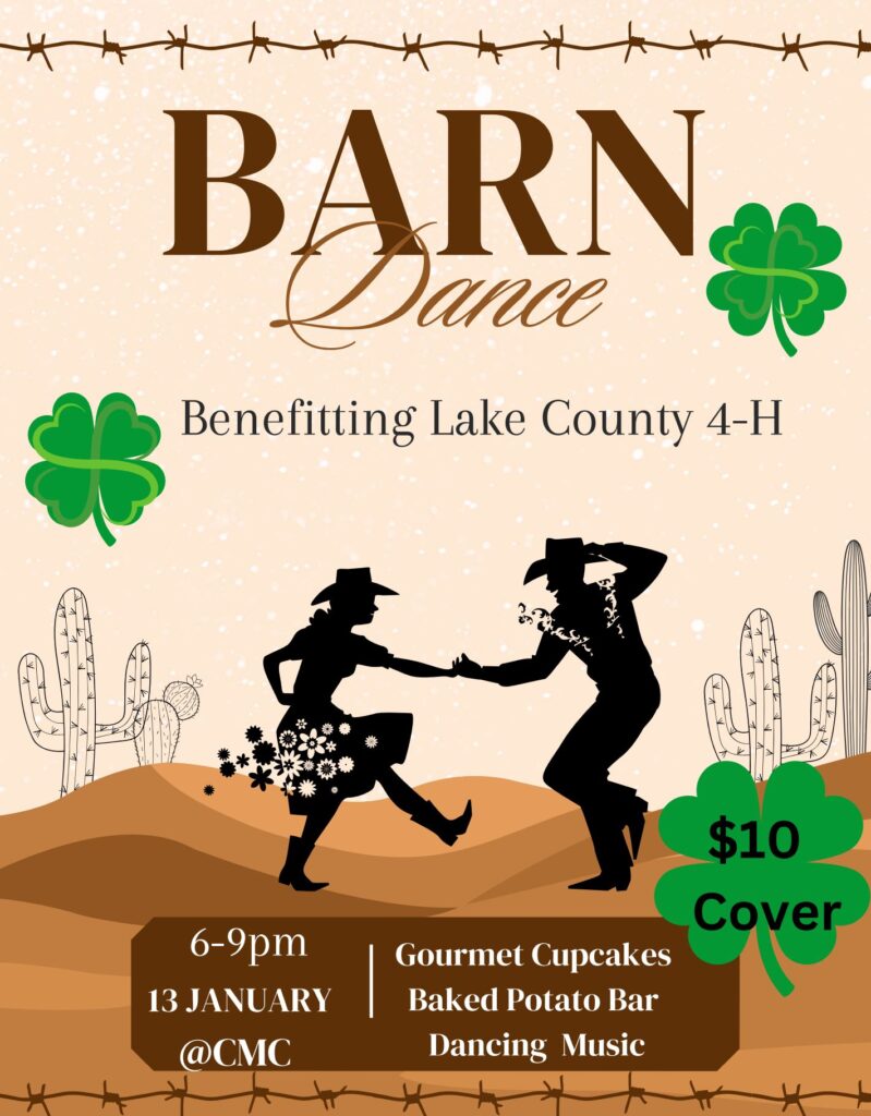 LCES Panther Cub Communication #20 – Lake County Elementary School